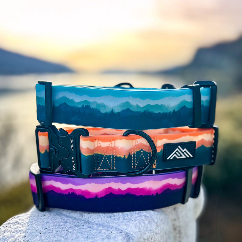 All Collars - Shop Dog Collars Online | Pacific Hound