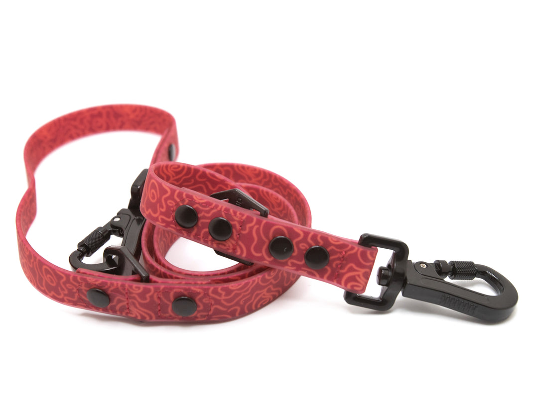 Leashes - Cool Dog Leashes | Pacific Hound