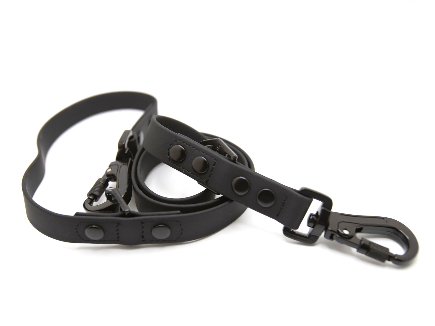 Leashes - Cool Dog Leashes | Pacific Hound