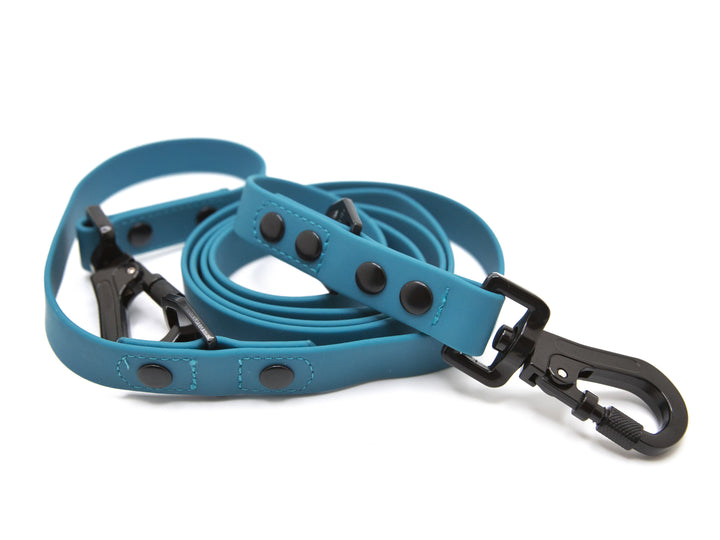 Leashes - Cool Dog Leashes | Pacific Hound