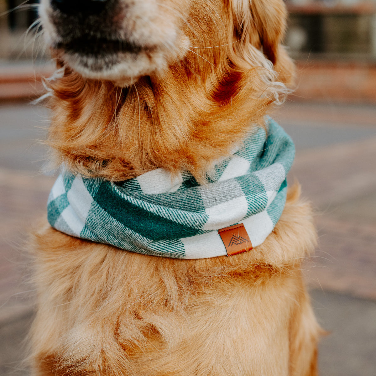 Alpine Dog Scarf - Holiday Infinity Scarves For Dogs – Pacific Hound
