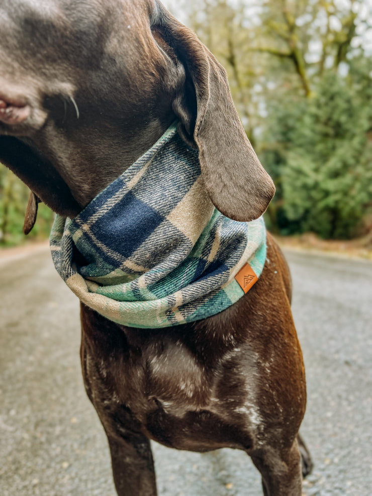 Customizable Infinity Dog Scarves - Browse Our Best-Sellers – Pacific Hound