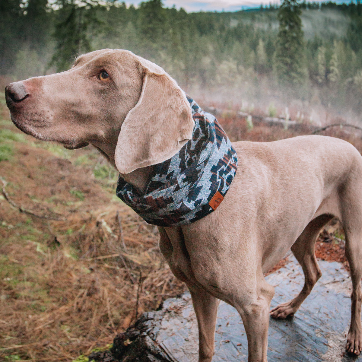 Jasper Dog Scarf - Infinity Scarves For Dogs – Pacific Hound