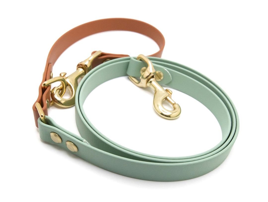 Leashes - Cool Dog Leashes | Pacific Hound