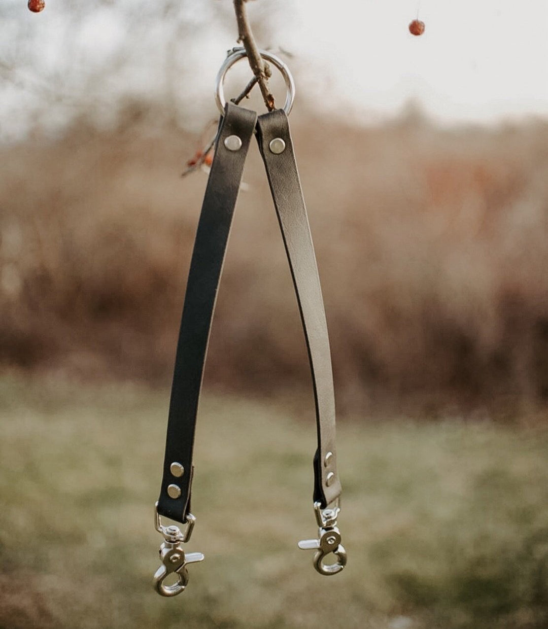 Leashes - Cool Dog Leashes | Pacific Hound